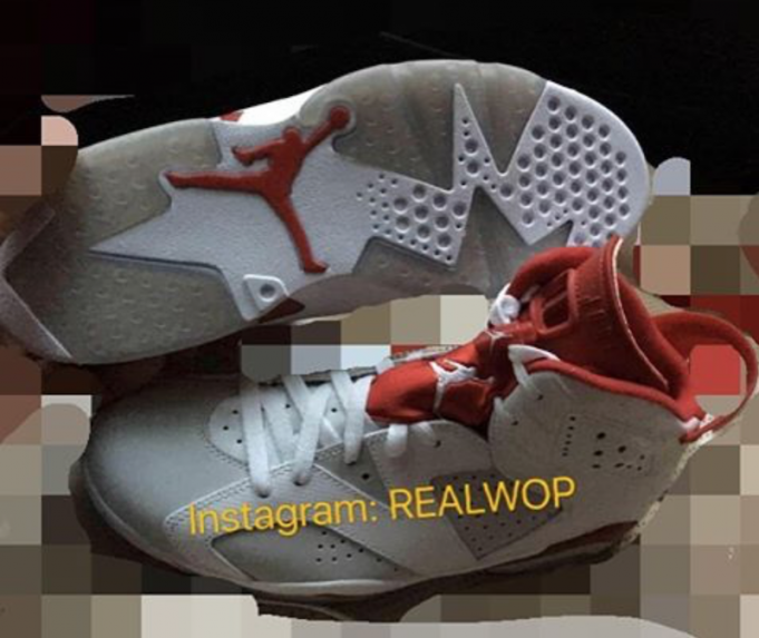 Air Jordan 6 Hare 2017 - Sneaker Bar Detroit