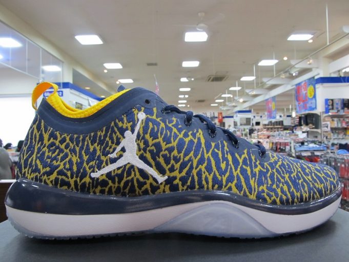 Jordan Trainer 1 Low Michigan - Sneaker Bar Detroit