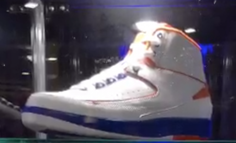 Air Jordan Florida Gators Collection - Sneaker Bar Detroit