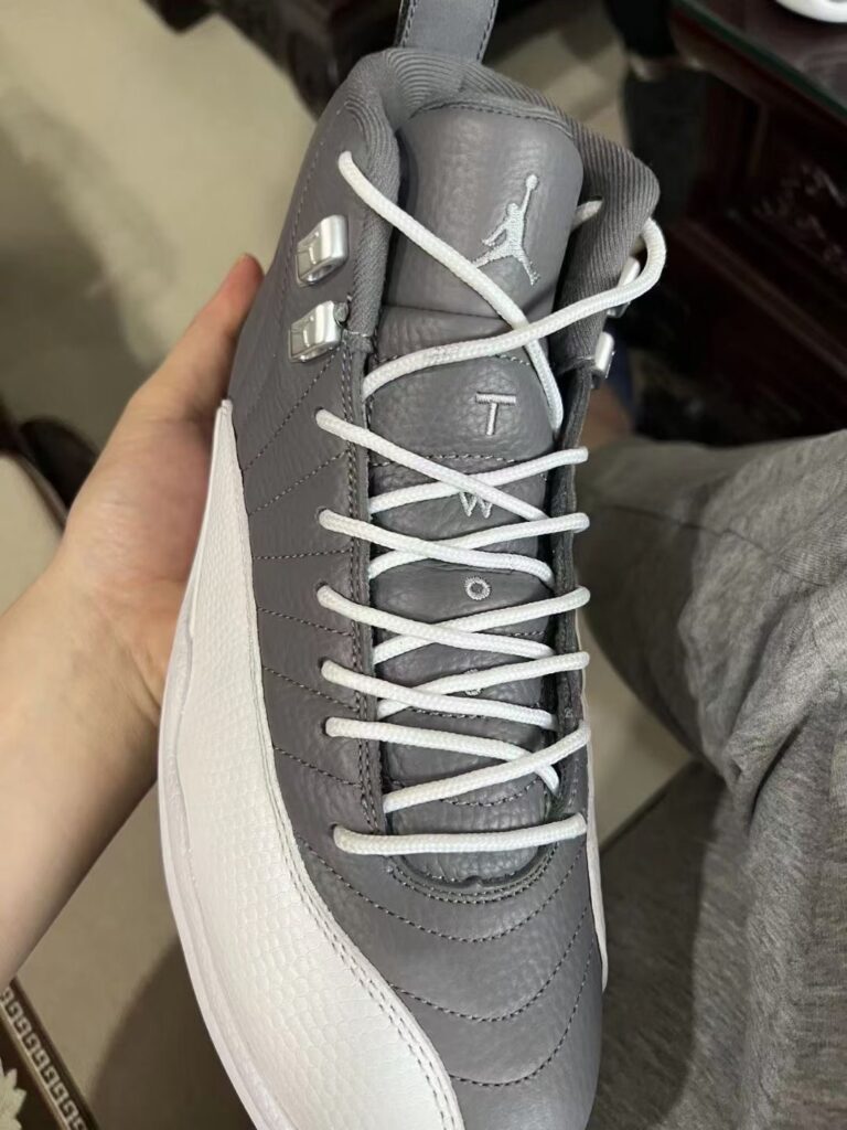 Air Jordan 12 Stealth CT8013-015 Release Date - Sneaker Bar Detroit