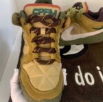 Cactus Plant Flea Market CPFM Nike Dunk Low DM0430-700 Release Date - SBD