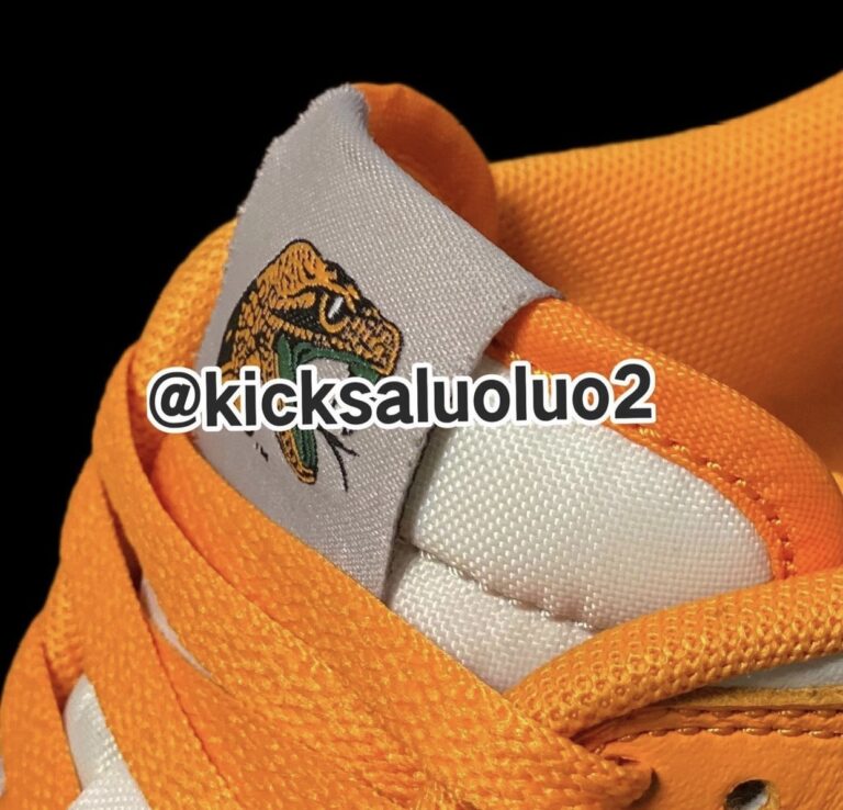 Florida A&M x Nike Dunk Low FAMU DR6188-800 Release Date | SBD