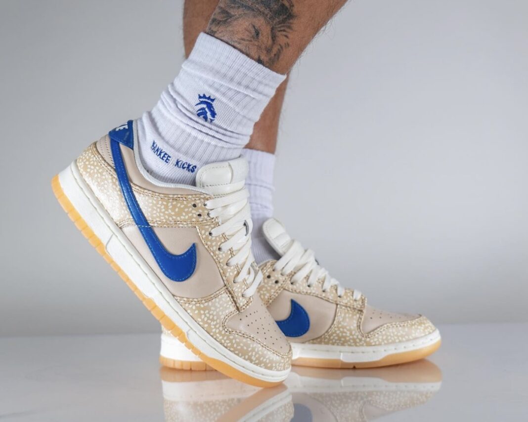 Nike Dunk Low Montreal Bagel DZ4853-200 Release Date | SBD