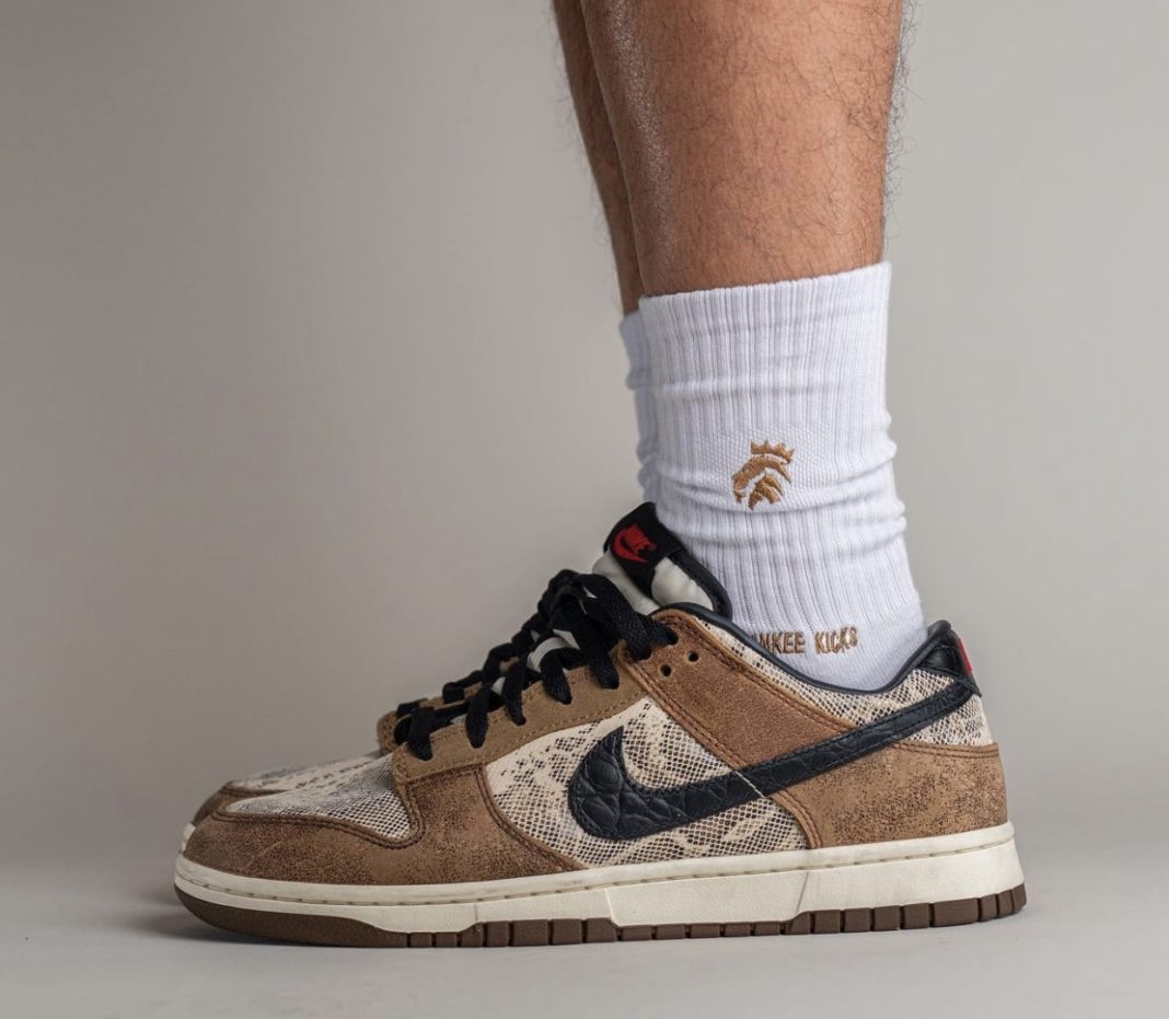 Nike Dunk Low CO.JP 2023 FJ5434-120 | SBD