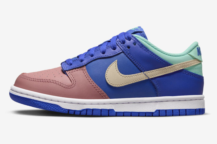 Nike Dunk Low GS Salmon Toe DZ2873-400 | SBD