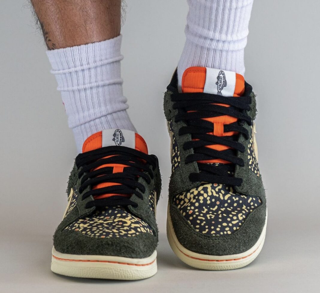 Nike Dunk Low Rainbow Trout FN7523-300 | SBD