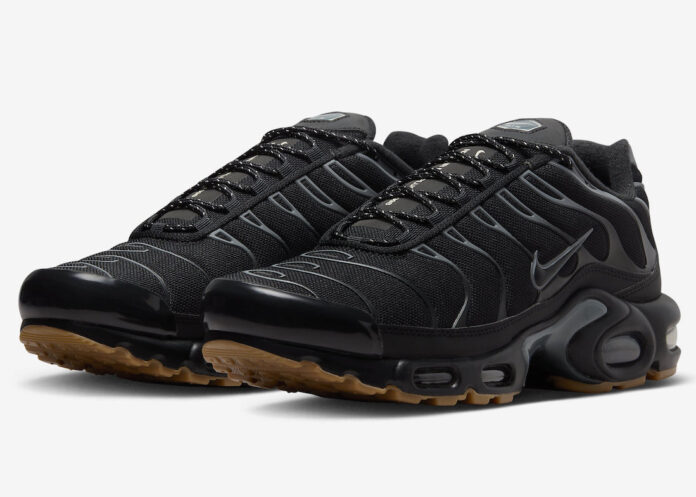 Nike Air Max Plus Black Gum FV0385-001 | SBD