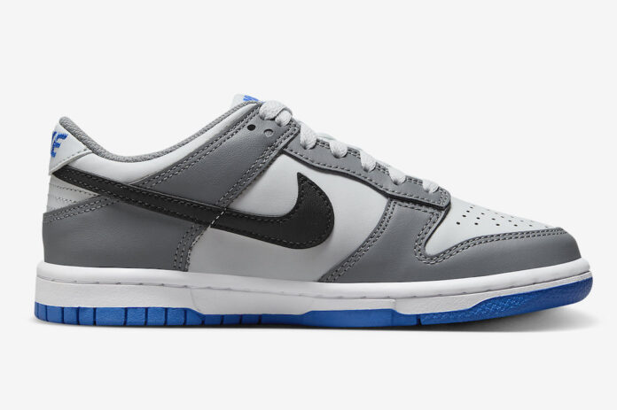 Nike Dunk Low GS Cool Grey FB9109-001 | SBD