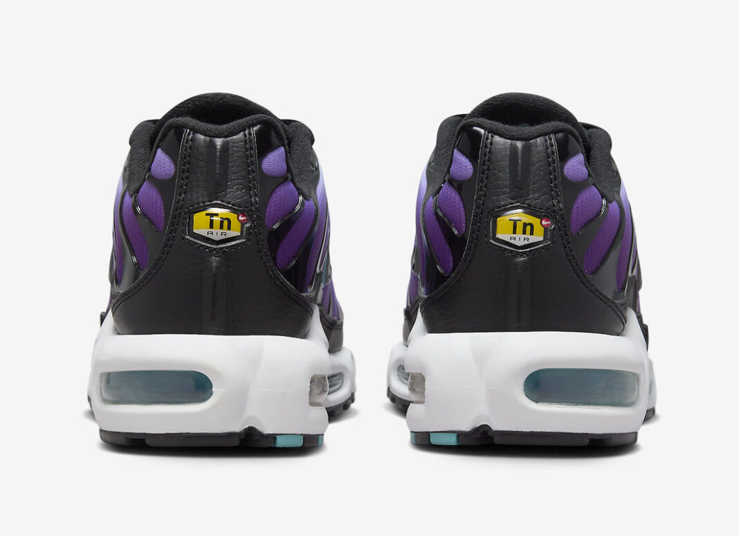 Nike Air Max Plus Reverse Grape FQ2415-500 | SBD