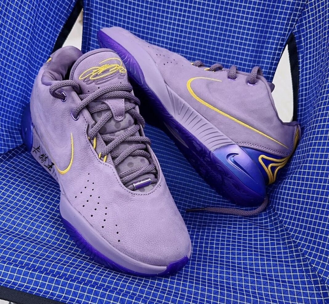 Nike LeBron 21 Violet Dust FV2345-500
