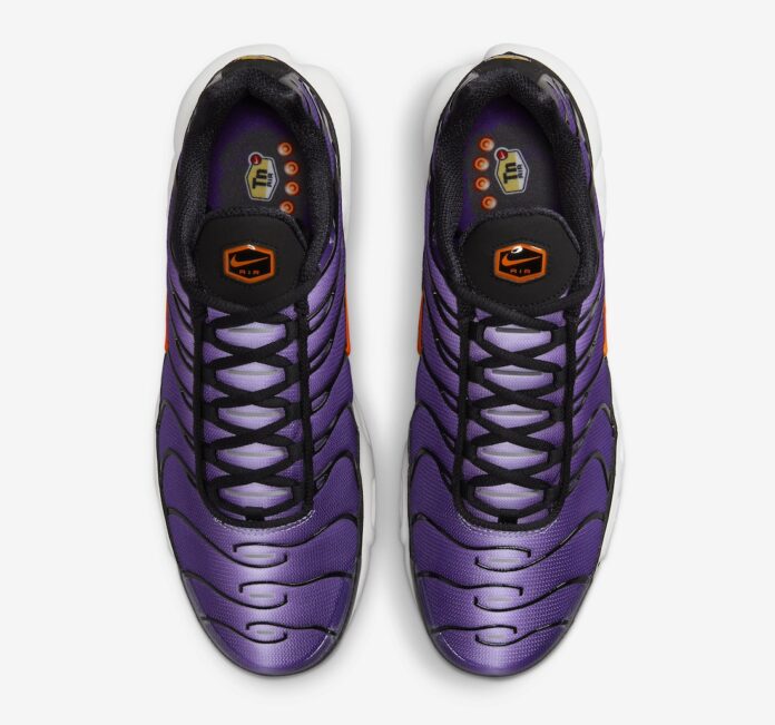Nike Air Max Plus Voltage Purple DX0755-500