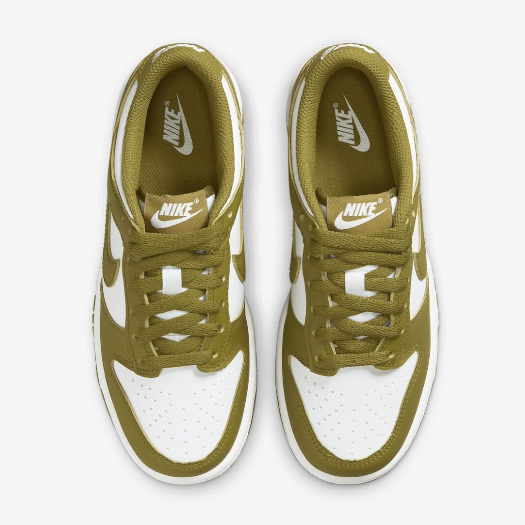 Nike Dunk Low GS Pacific Moss FB9109-108