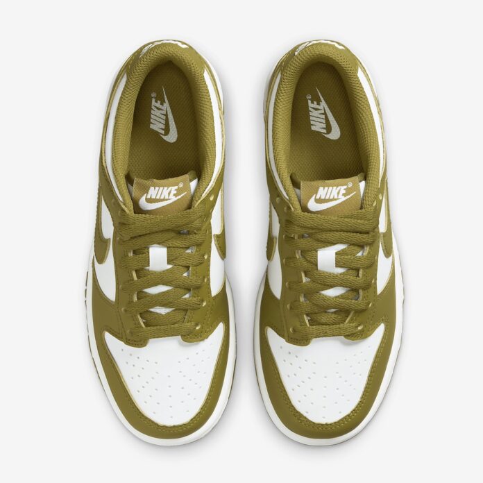 Nike Dunk Low GS Pacific Moss FB9109-108