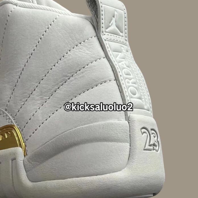 Air Jordan 12 Phantom FD9101-007