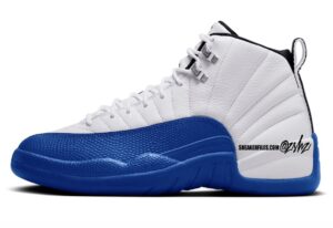 Air Jordan 12 Blueberry CT8013-140