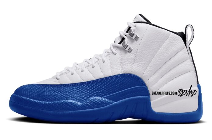 Air Jordan 12 Blueberry CT8013-140