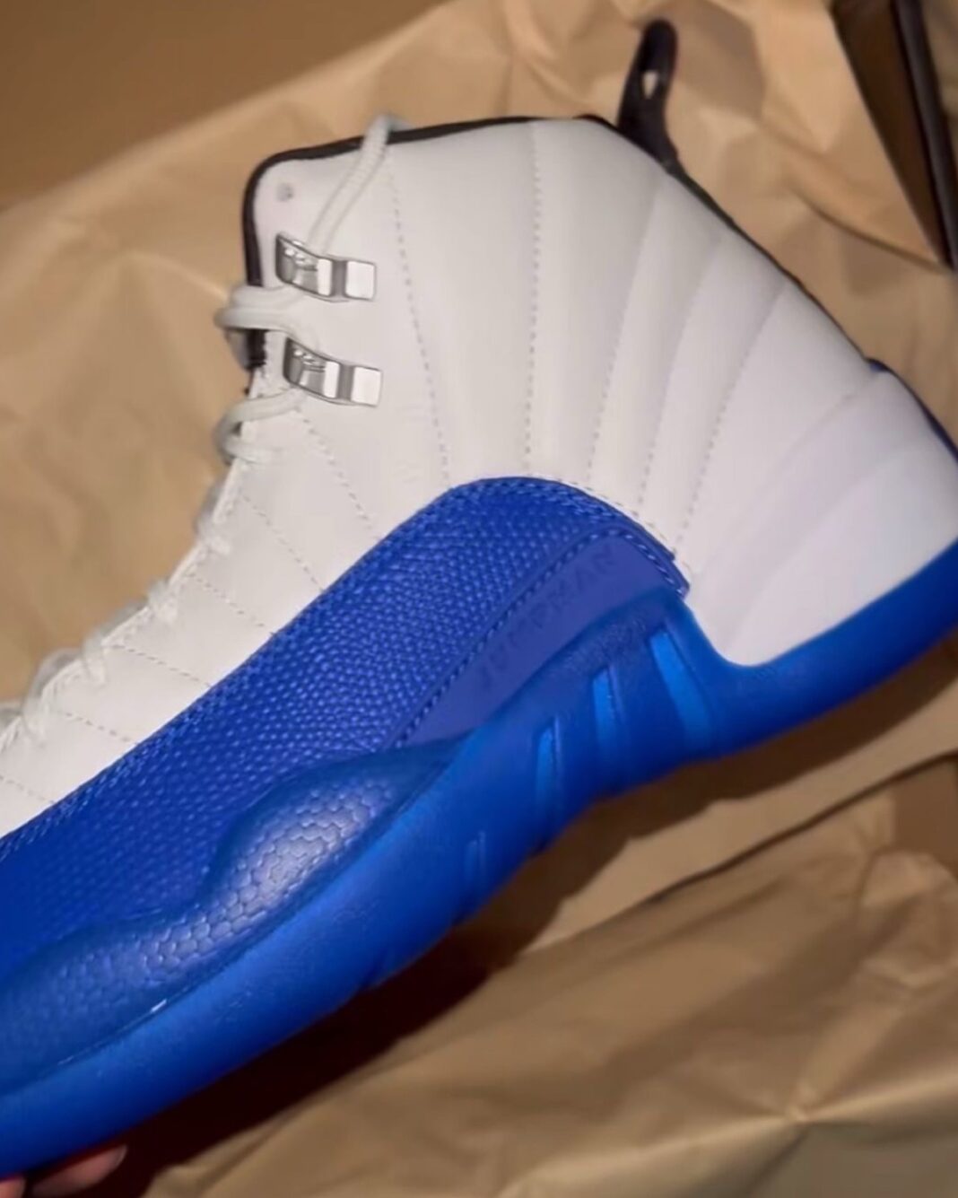 Air Jordan 12 Blueberry CT8013-140