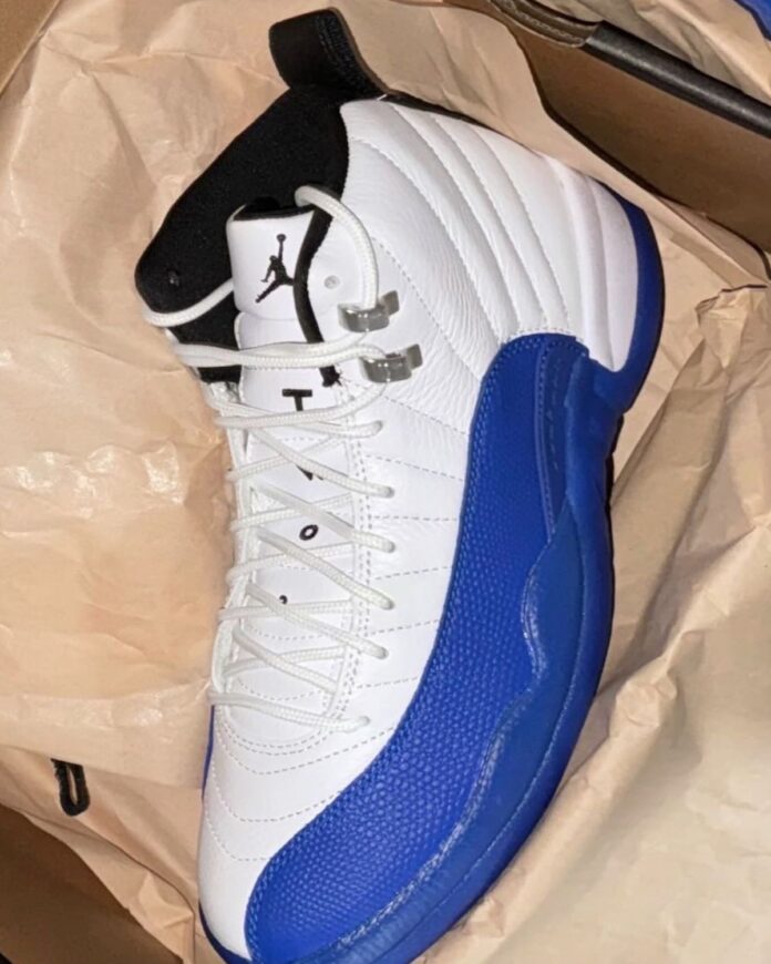 Air Jordan 12 Blueberry CT8013-140