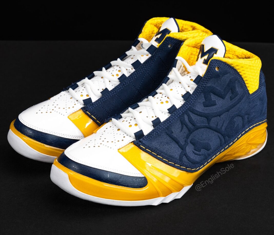 Air Jordan 23 Michigan PE
