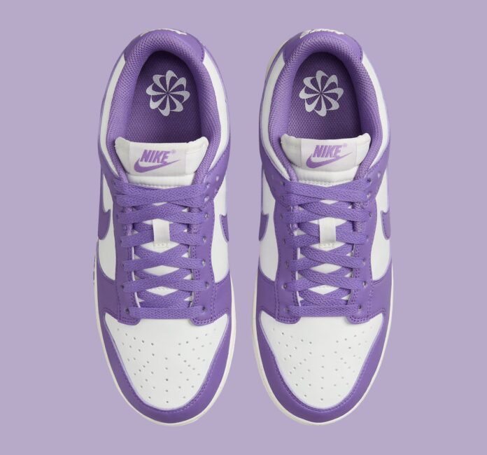 Nike Dunk Low Next Nature Black Raspberry DD1873-108