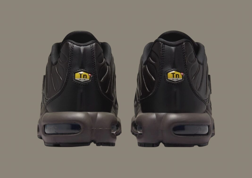Nike Air Max Plus Black Tea HJ4519-200