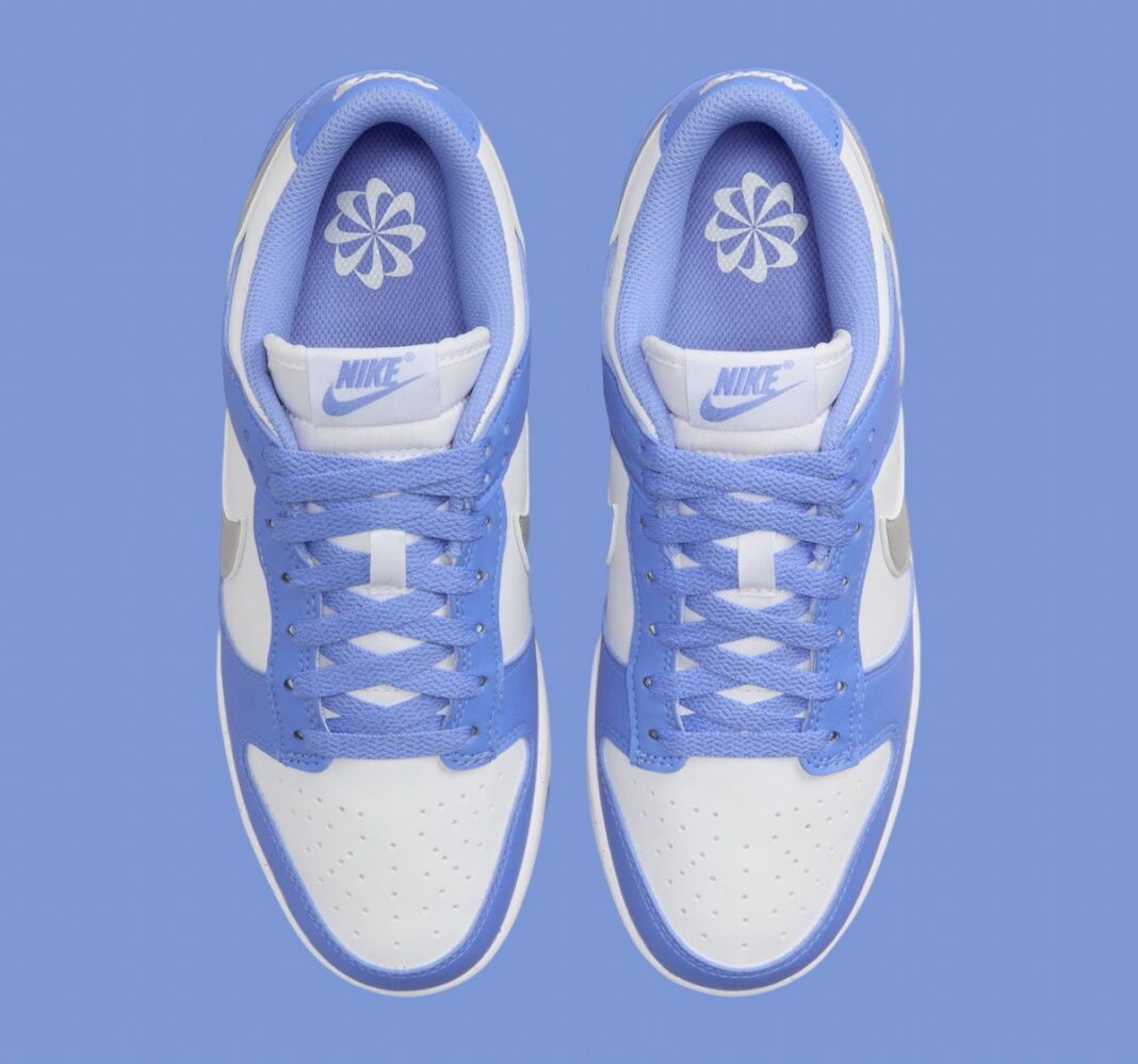 Nike Dunk Low Next Nature Royal Pulse DD1873-402