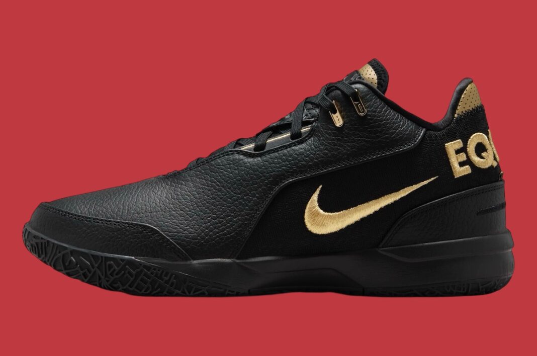 Nike LeBron NXXT Gen AMPD Equity FJ1566-103