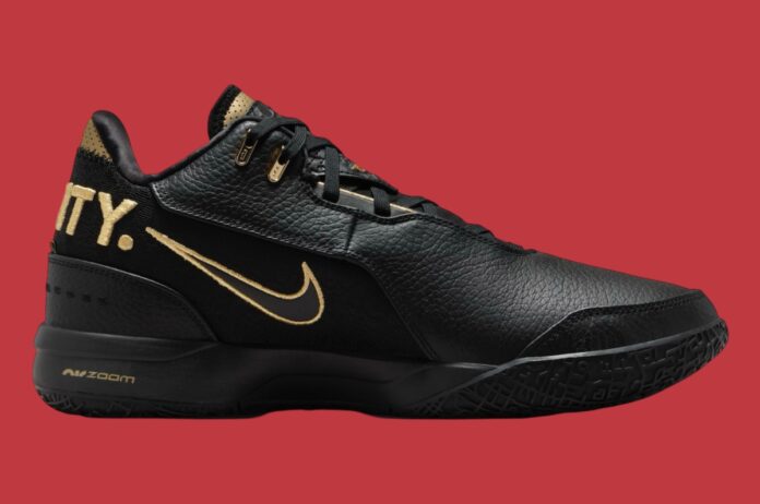 Nike LeBron NXXT Gen AMPD Equity FJ1566-103