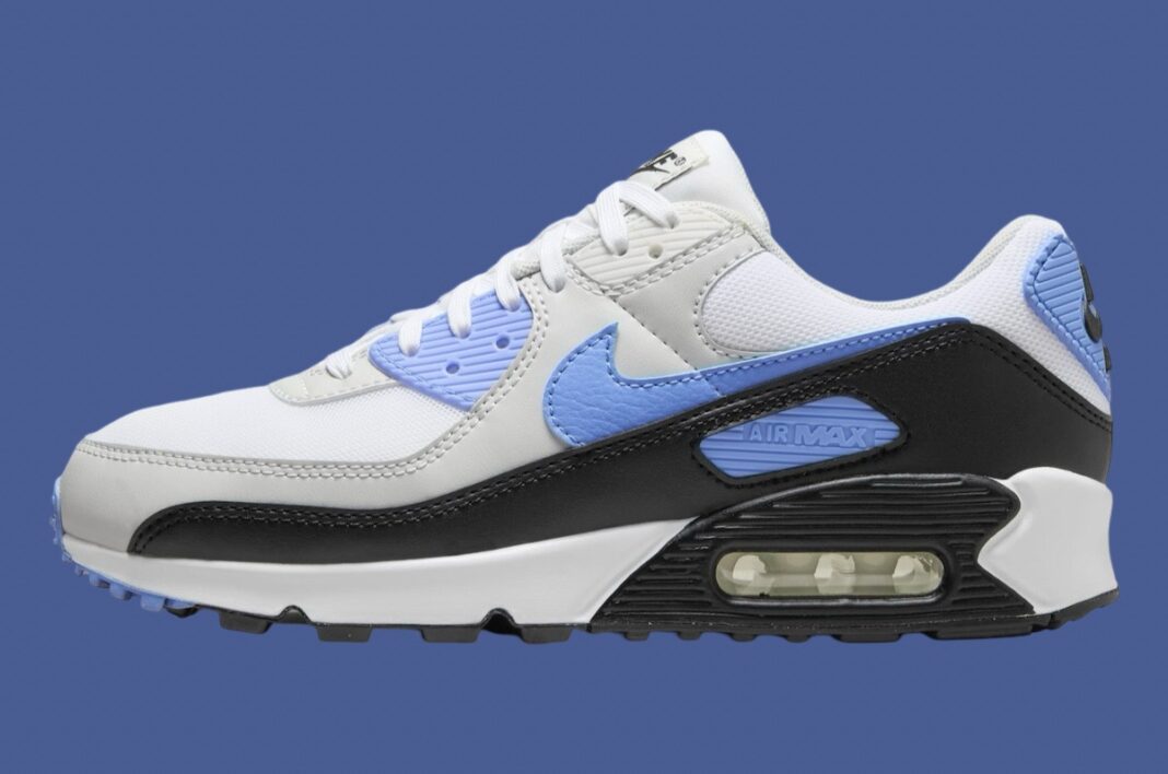 Nike Air Max 90 Royal Pulse DH8010-106