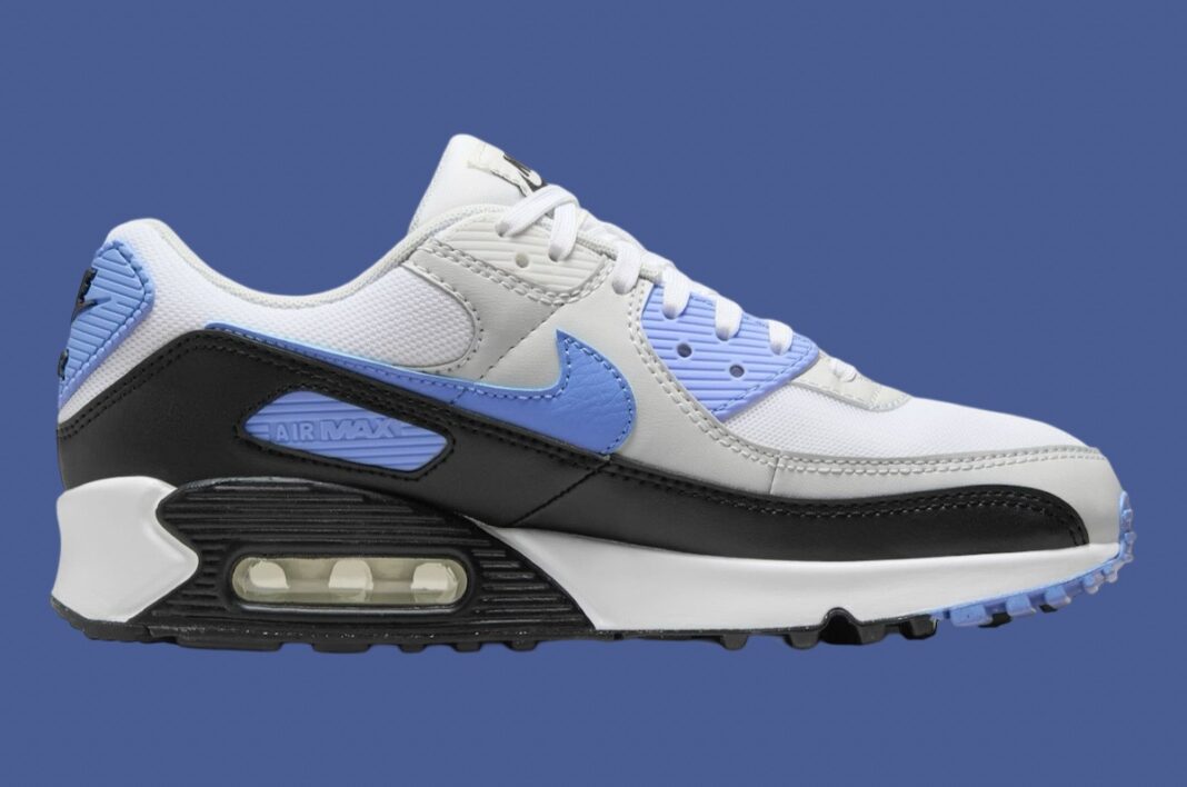 Nike Air Max 90 Royal Pulse DH8010-106