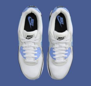 Nike Air Max 90 Royal Pulse DH8010-106
