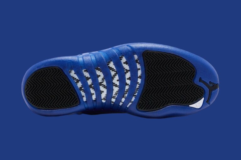 Air Jordan 12 Blueberry CT8013-140