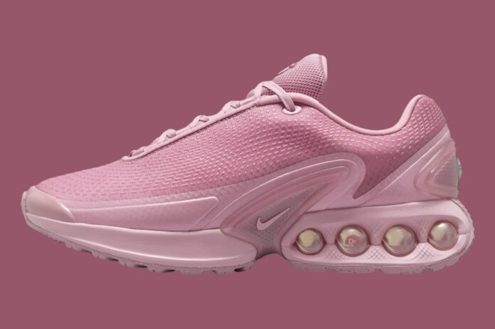 Nike Air Max Dn Elemental Pink HV4861-600