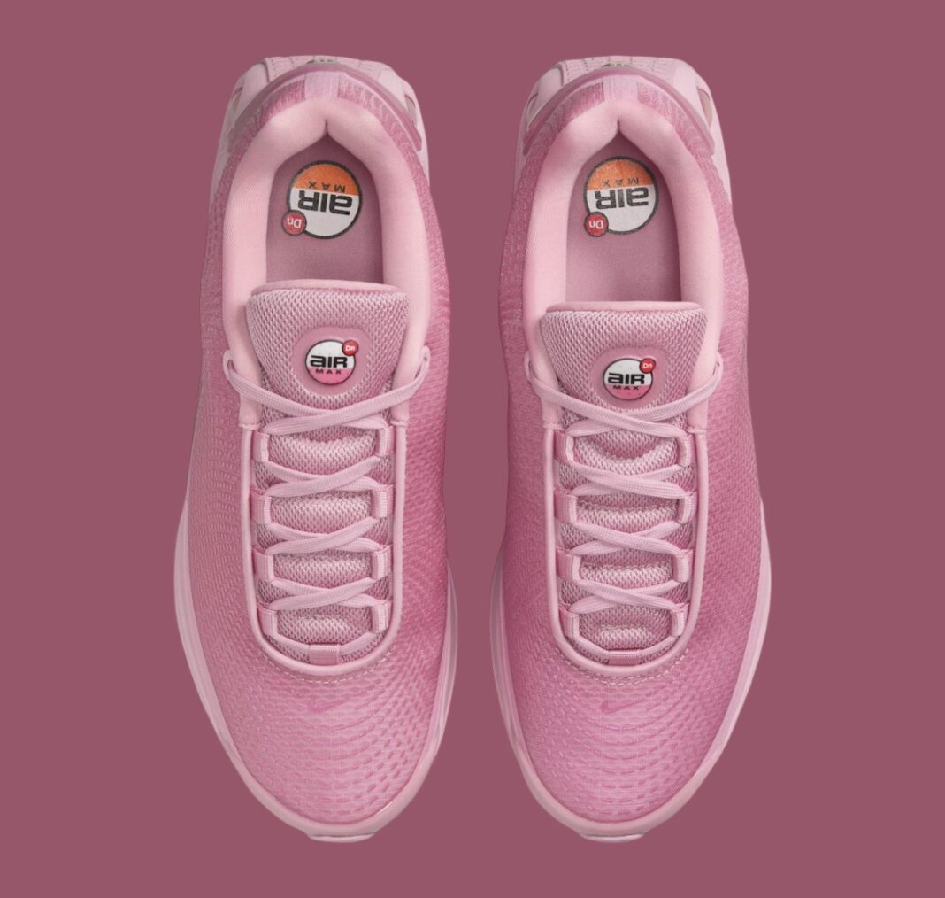 Nike Air Max Dn Elemental Pink HV4861-600