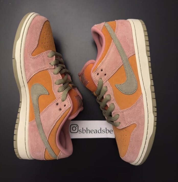 Nike SB Dunk Low Red Stardust HJ4135-600