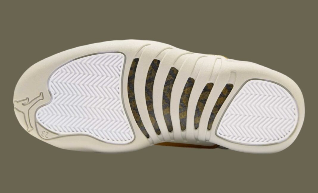 Air Jordan 12 Phantom FD9101-007
