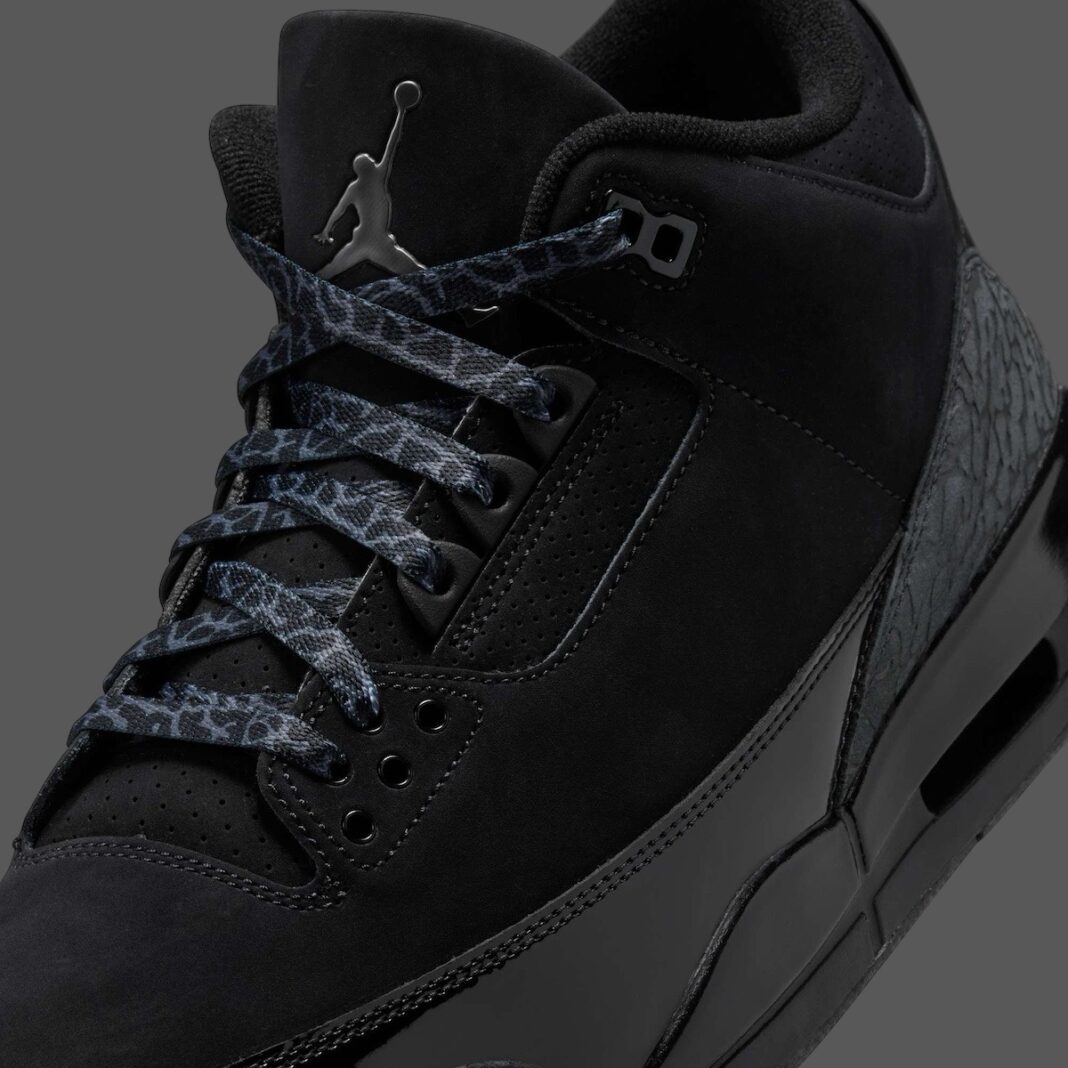 Air Jordan 3 Black Cat 2025 CT8532-001