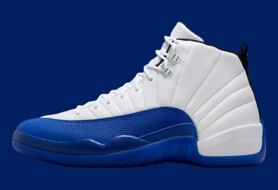 Air Jordan 12 Blueberry CT8013-140