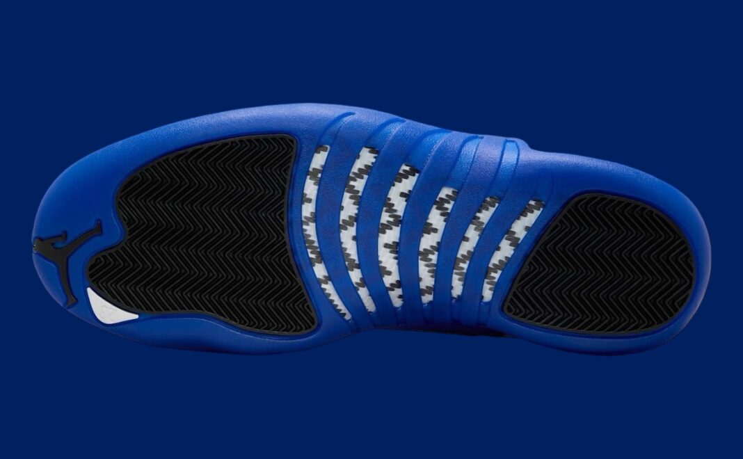 Air Jordan 12 Blueberry CT8013-140