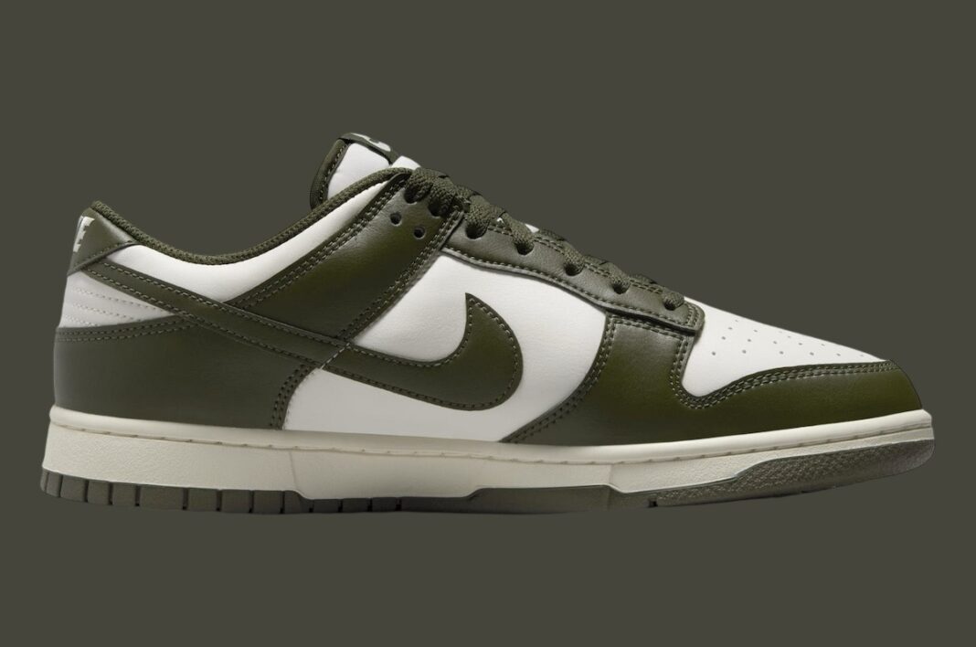 Nike Dunk Low Cargo Khaki HF5441-102