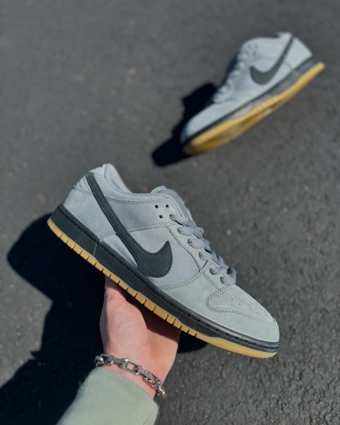 Nike SB Dunk Low Pro Cool Grey FJ1674-002