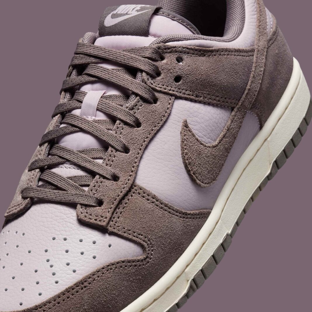 Nike Dunk Low Platinum Violet Cave Stone FQ8249-001