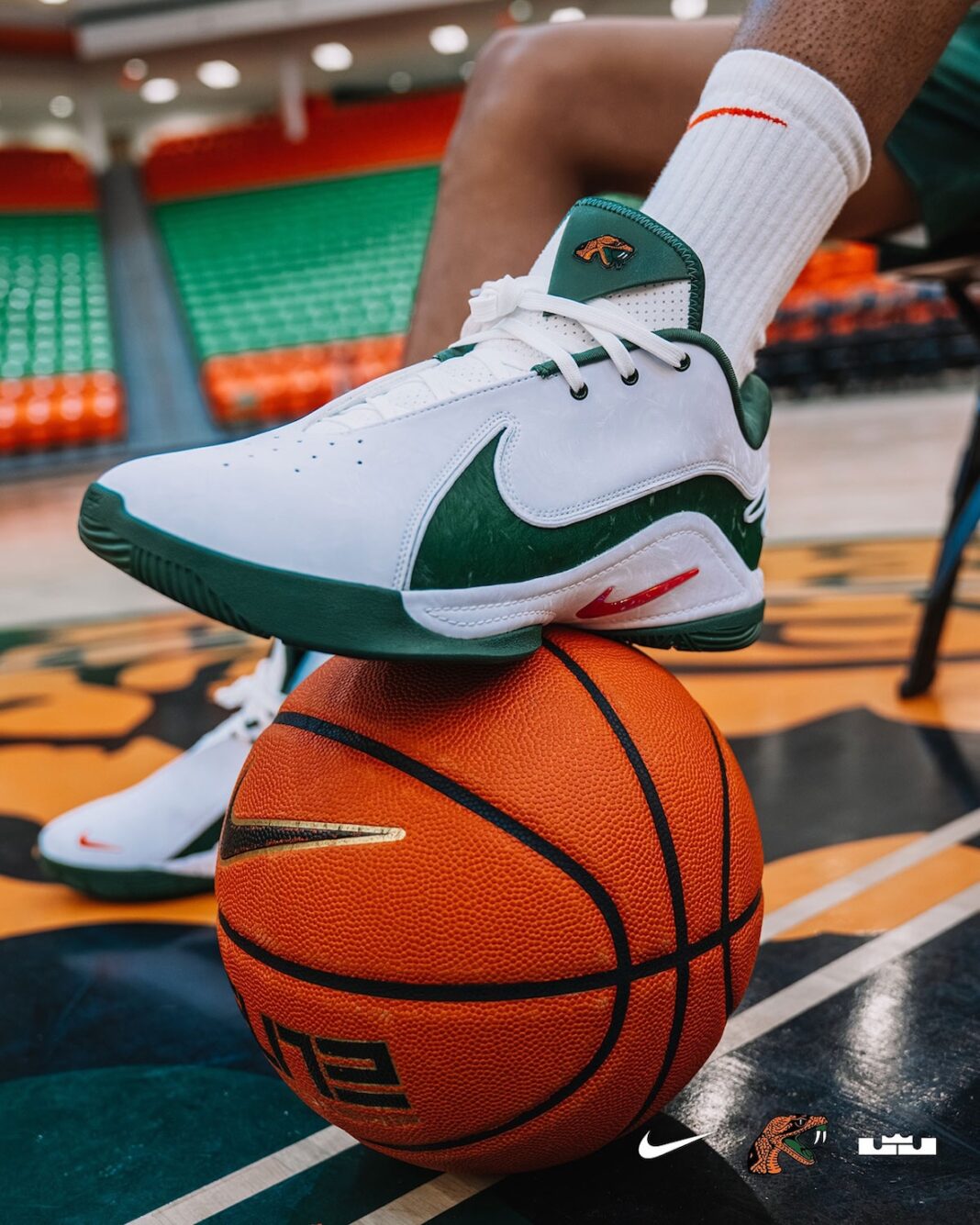FAMU Nike LeBron 22 PEs 2025