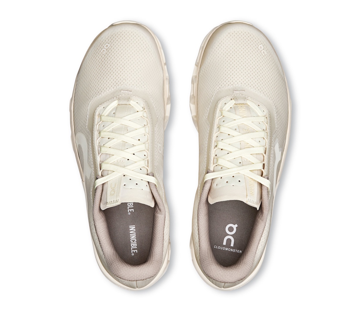 INVINCIBLE On Running Cloudmonster 2