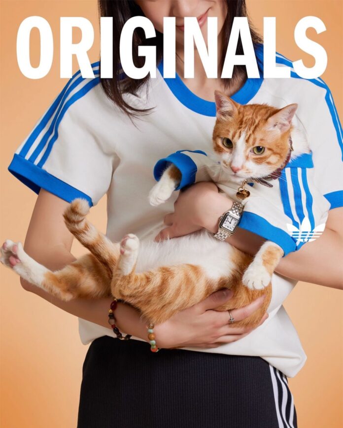 adidas Originals Pet Collection