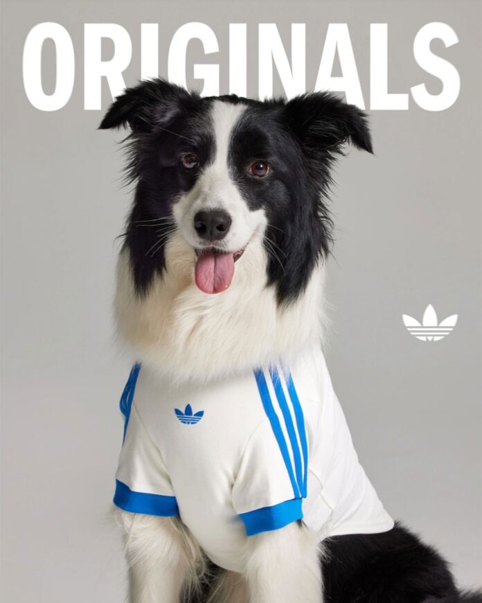 adidas Originals Pet Collection