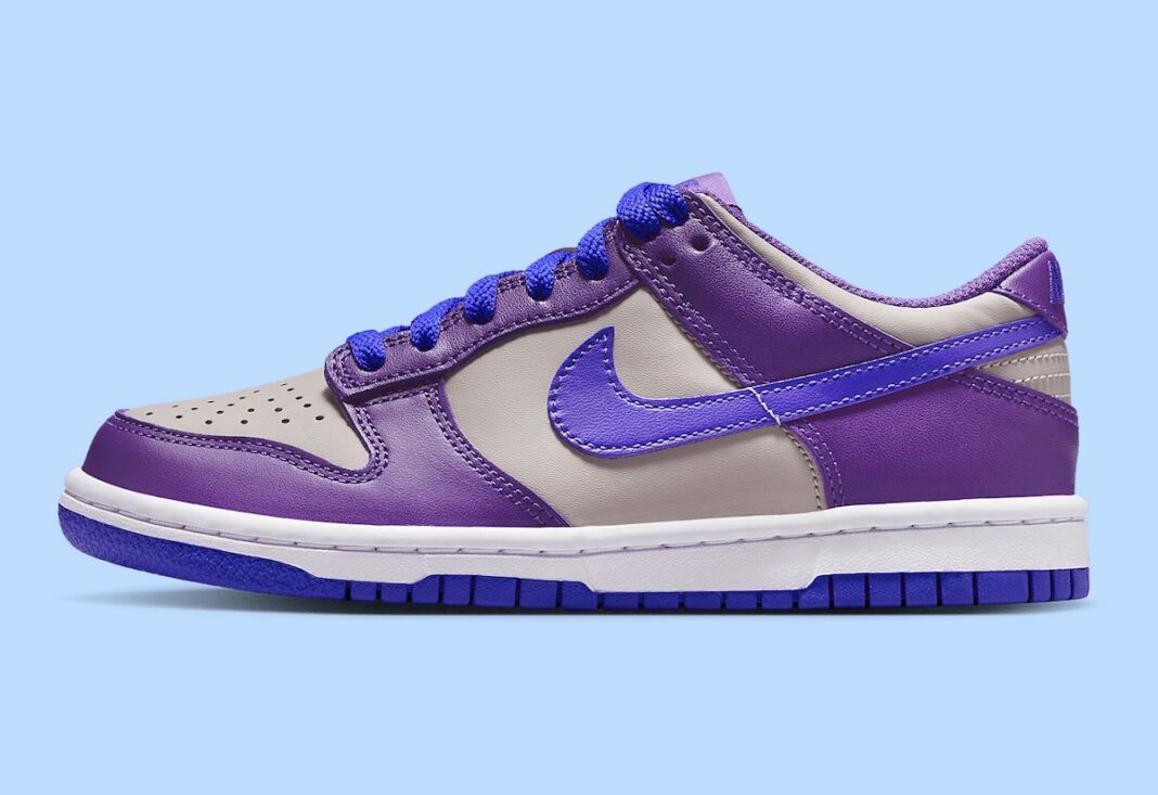 Nike Dunk Low GS Wild Grape FB9109-007