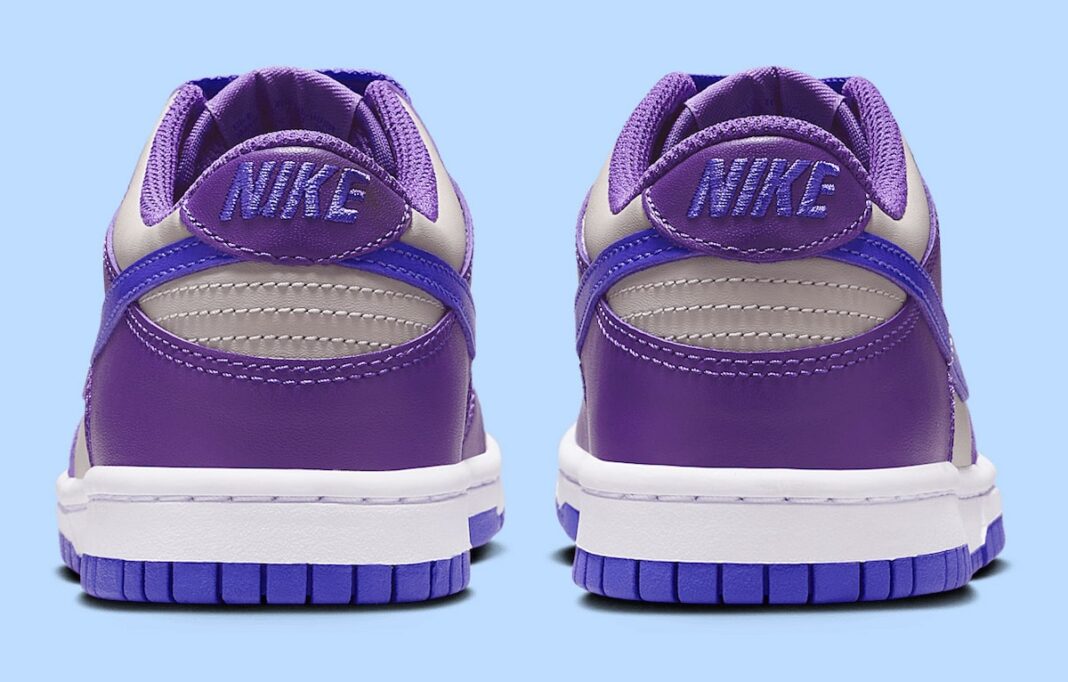 Nike Dunk Low GS Wild Grape FB9109-007