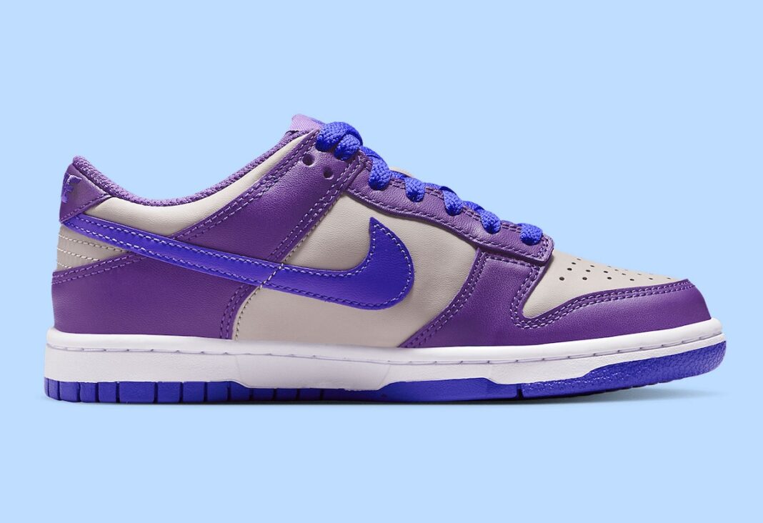Nike Dunk Low GS Wild Grape FB9109-007