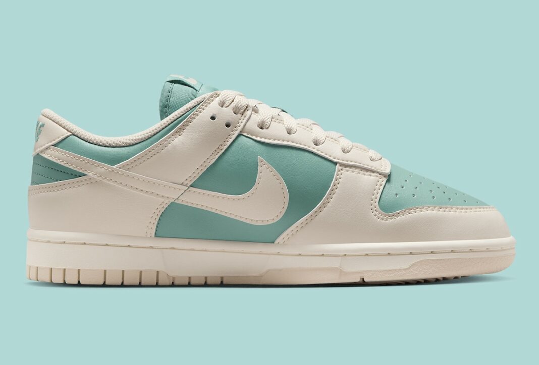 Nike Dunk Low Cannon IM6572-001